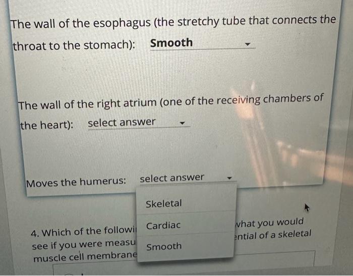 Solved one in between that is called the intermediate layer. | Chegg.com