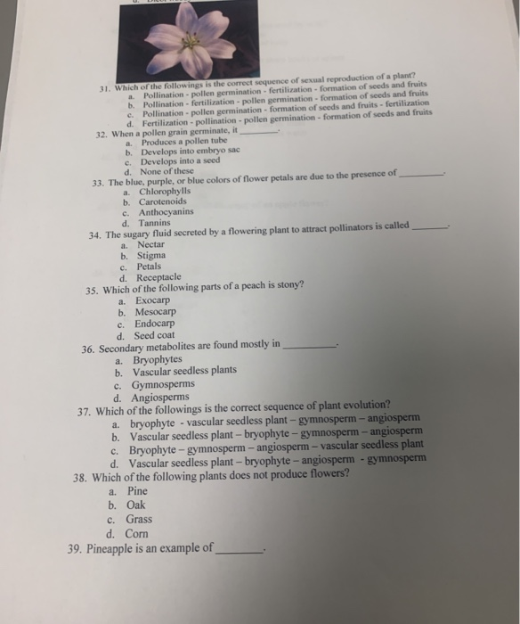 Solved 31. Which of the followings is the correct sequence | Chegg.com