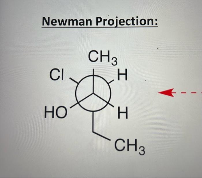 Solved Newman Projection: | Chegg.com
