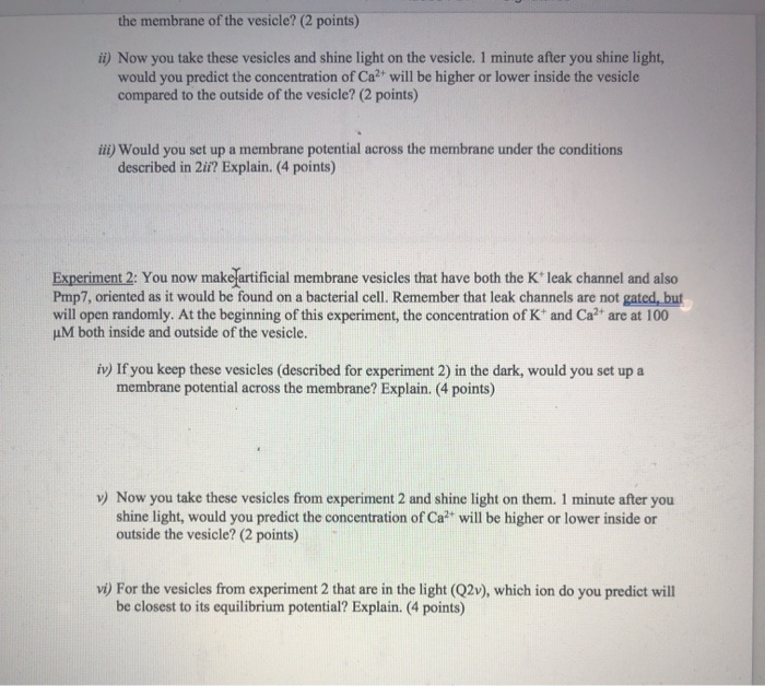 Solved Font Paragraph Styles Sensitivity Create and Share | Chegg.com