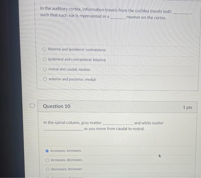 Solved In the auditory cortex, information travels from the | Chegg.com