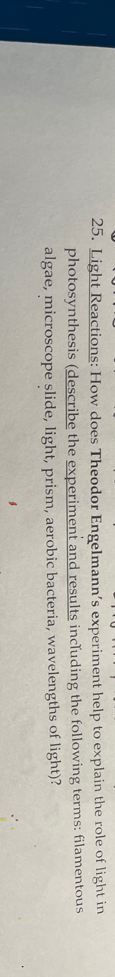Solved Light Reactions: How does Theodor Engelmann's | Chegg.com
