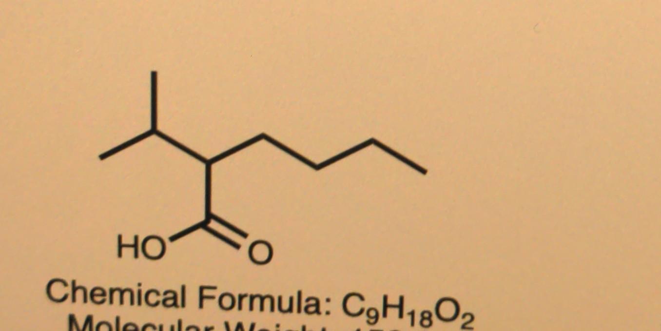 Solved design total synthesis with 4 carbons or fewer may | Chegg.com