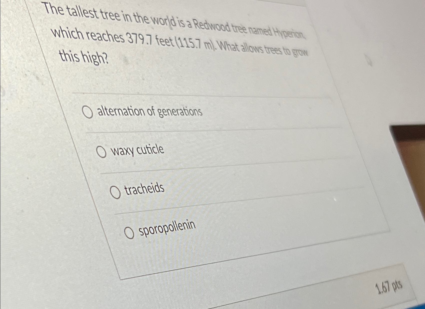 The tallest tree in the world is a Redwood tree named | Chegg.com