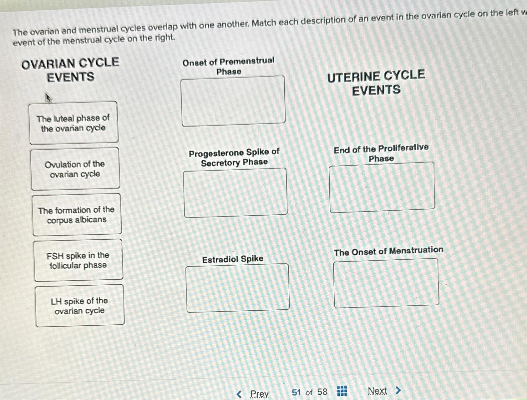 Solved The ovarian and menstrual cycles overlap with one | Chegg.com