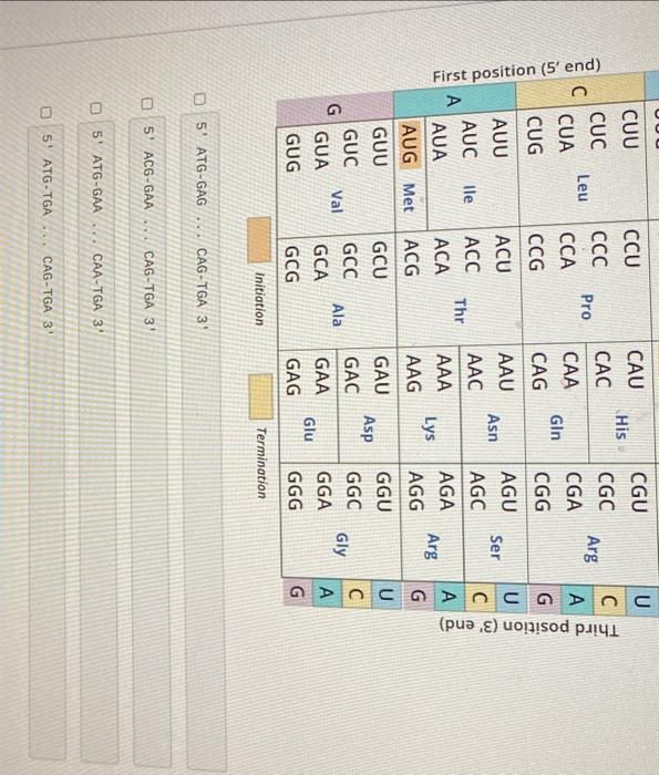 Solved The following DNA sequence corresponds to the two | Chegg.com