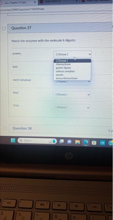 Solved Match the enzymes with the molecule it digests: | Chegg.com