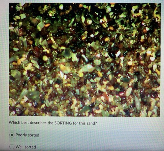 Solved Question 2 (1 point) Listen Which sediment | Chegg.com