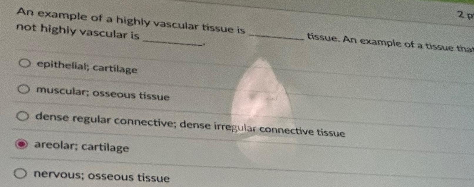 Solved An example of a highly vascular tissue is not highly | Chegg.com