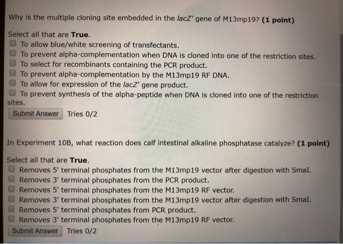 Why is the multiple cloning site embedded in the | Chegg.com
