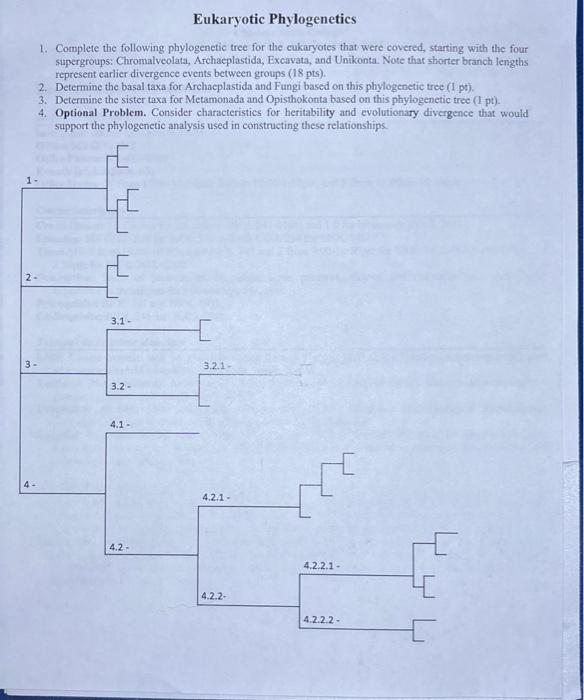 Solved Eukaryotic Phylogenetics 1. Complete the following | Chegg.com