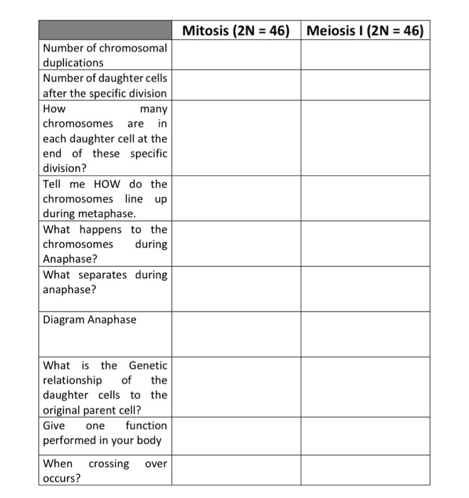 Solved Mitosis (2N = 46) Meiosis I (2N = 46) Number of | Chegg.com