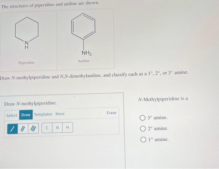 Solved The structures of piperidine and aniline are shown. | Chegg.com