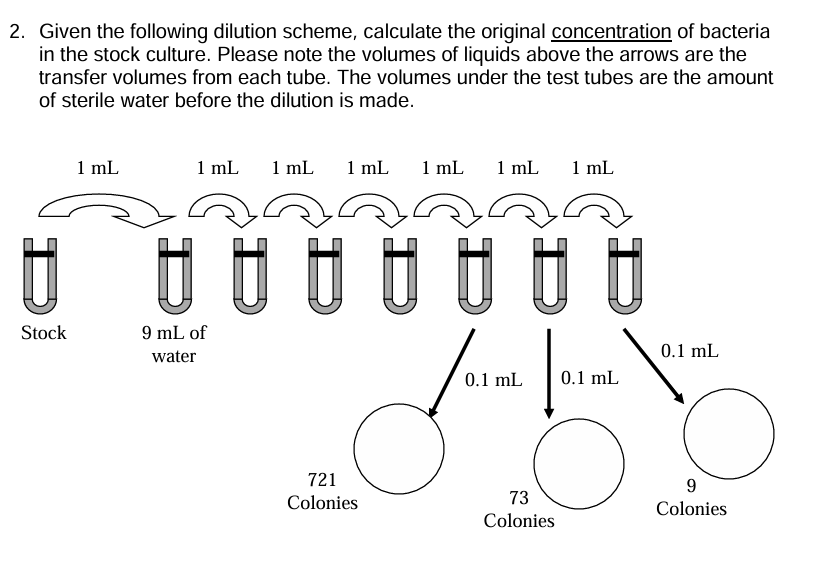Solved Given the following dilution scheme, calculate the | Chegg.com