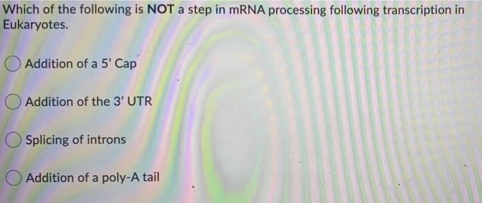 Solved Which of the following is NOT a step in mRNA | Chegg.com
