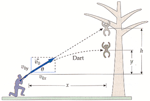 Solved What is the minimum initial speed of the dart if it | Chegg.com