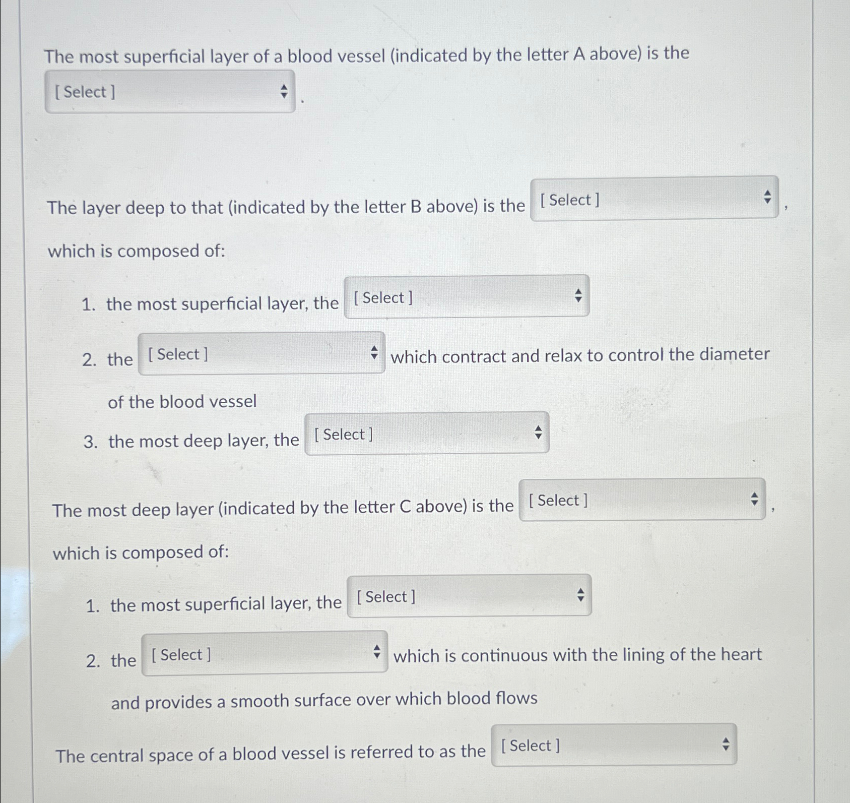 Solved The most superficial layer of a blood vessel | Chegg.com