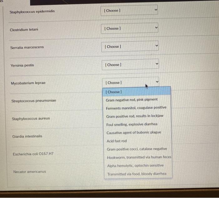 Solved Staphylococcus epidermidis [Choose Clostridium tetani | Chegg.com