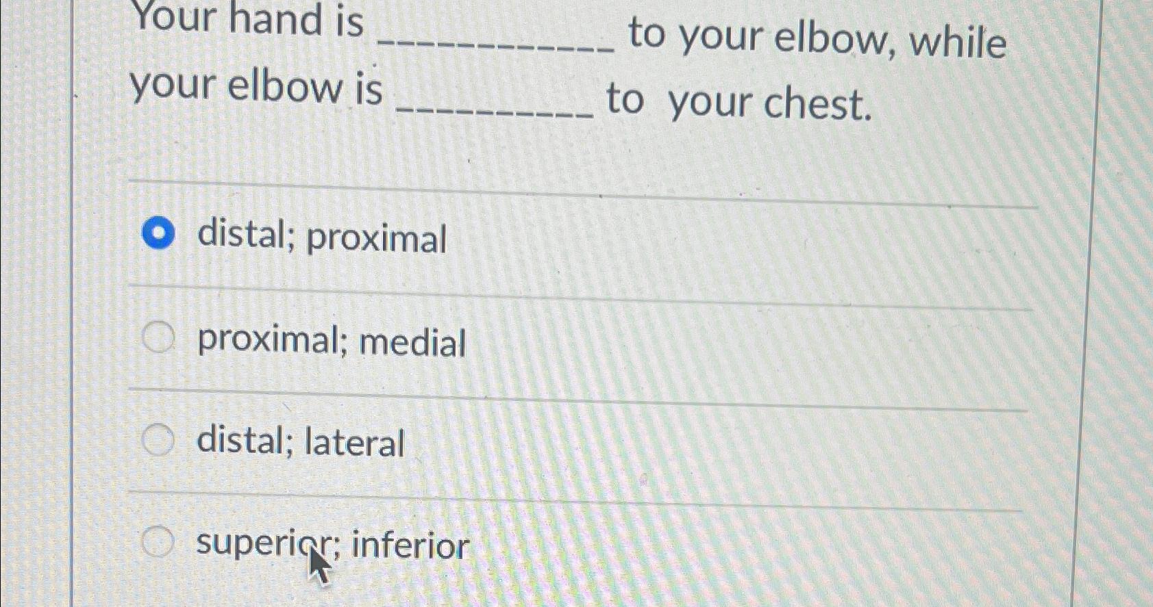 Solved Your hand is to your elbow, while your elbow is to | Chegg.com