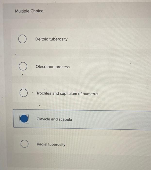What is/are the proximal attachment(s) of the | Chegg.com