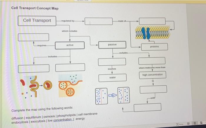 Solved Cell Transport Concept Map Cell Transport regulated | Chegg.com