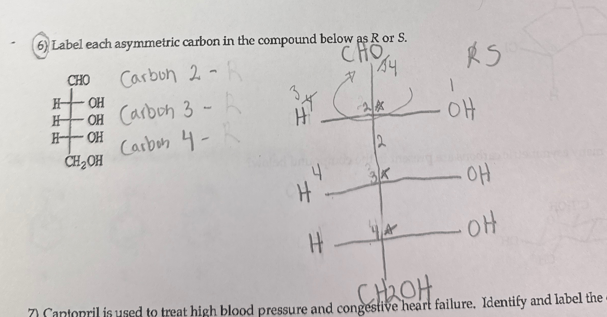 Solved Label each asymmetric carbon in the compound below as | Chegg.com