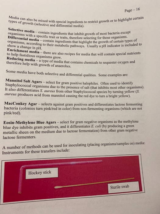 LAB 4 UBIQUITY OF MICROORGANISMS Lab - 4A Laboratory | Chegg.com