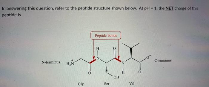 Solved In answering this question, refer to the peptide | Chegg.com