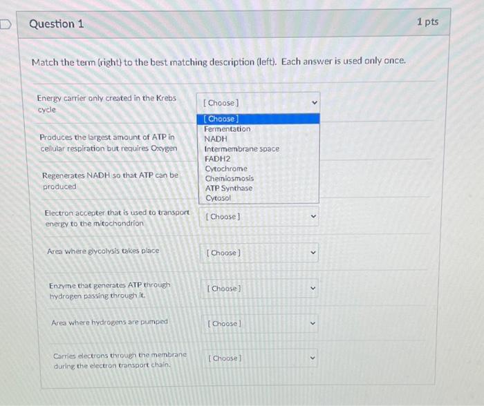 Solved Match the term (right) to the best matching | Chegg.com