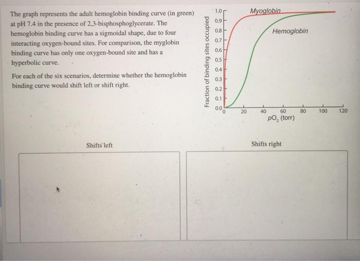 Myoglobin 1.0 309 0.8 Hemoglobin 0.7 The graph | Chegg.com