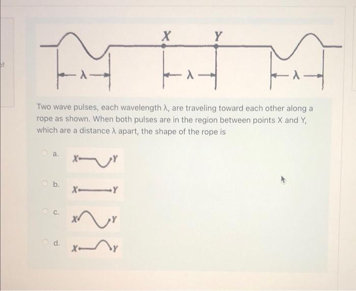 Solved X Y bi M Two wave pulses, each wavelength 1, are | Chegg.com