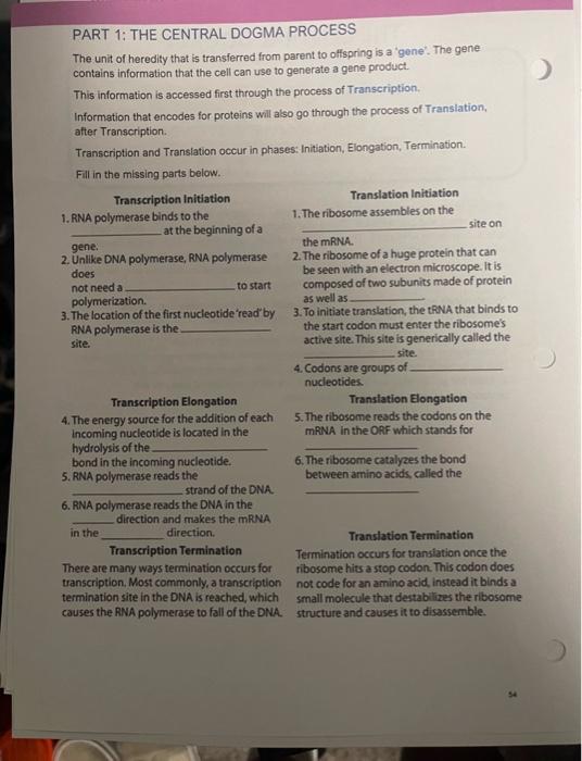 PART 1: THE CENTRAL DOGMA PROCESS The unit of | Chegg.com