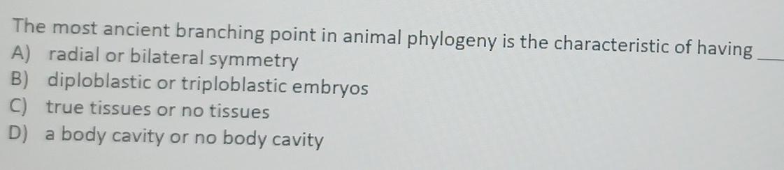Solved The most ancient branching point in animal phylogeny | Chegg.com