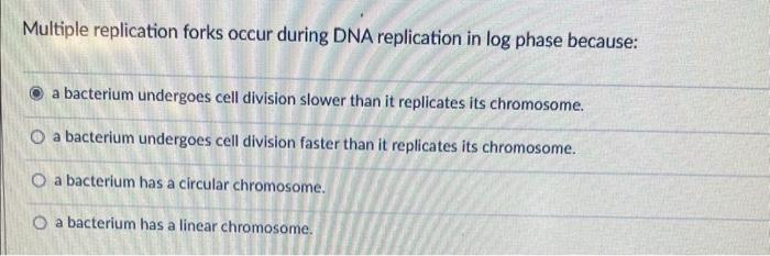 Solved Multiple replication forks occur during DNA | Chegg.com