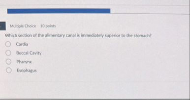 Solved Multiple Choice 10 ﻿pointsWhich section of the | Chegg.com