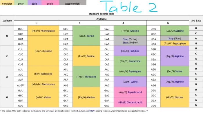 Solved I NEED HELP!!!In this exercise, you will model the | Chegg.com