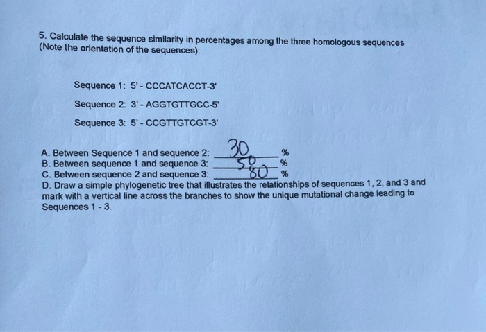 Solved 5. Calculate the sequence similarity in percentages | Chegg.com