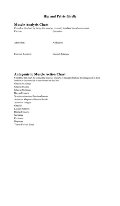 Solved Hip and Pelvie Girdle Muscle Analysis Chart Complete | Chegg.com