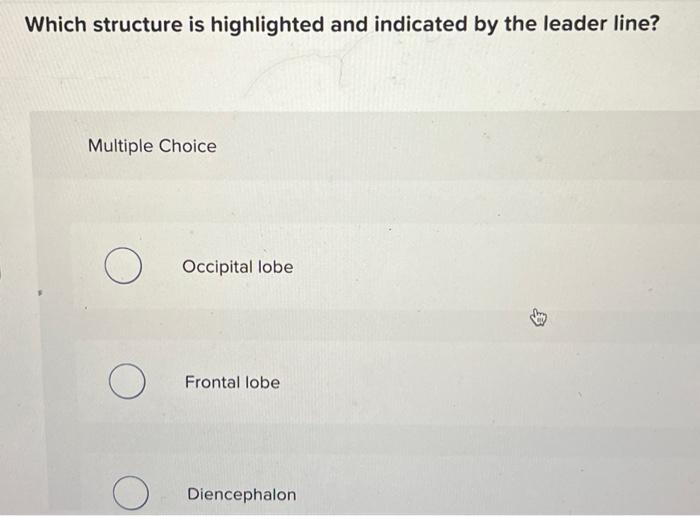 Solved Which structure is highlighted and indicated by the | Chegg.com