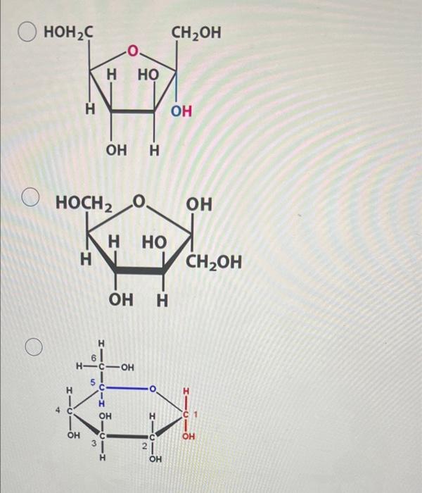 Solved Which of the following Hawthorn structures is correct | Chegg.com
