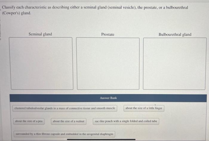 Solved Classify each characteristic as describing either a | Chegg.com