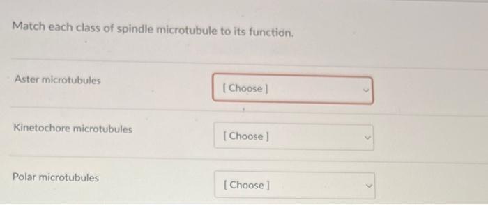 Solved Match each class of spindle microtubule to its | Chegg.com