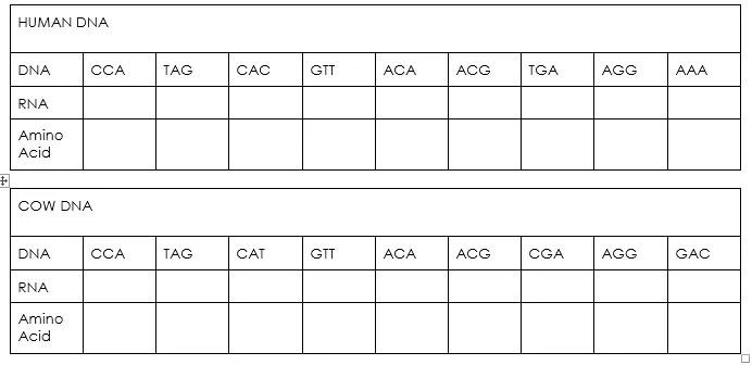 Solved HUMAN DNA DNA CCA TAG CAC СТТ ACA ACG TGA AGG AAA RNA | Chegg.com