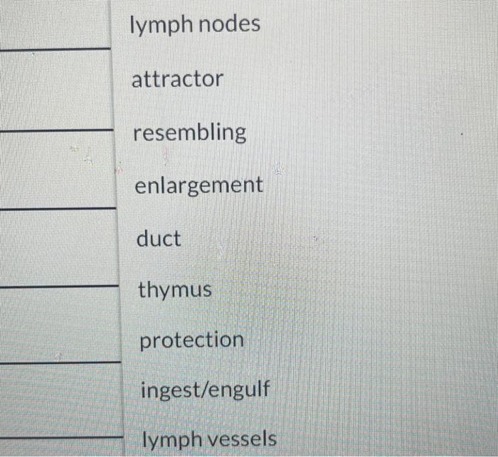 Solved Match each root or suffix with its appropriate | Chegg.com