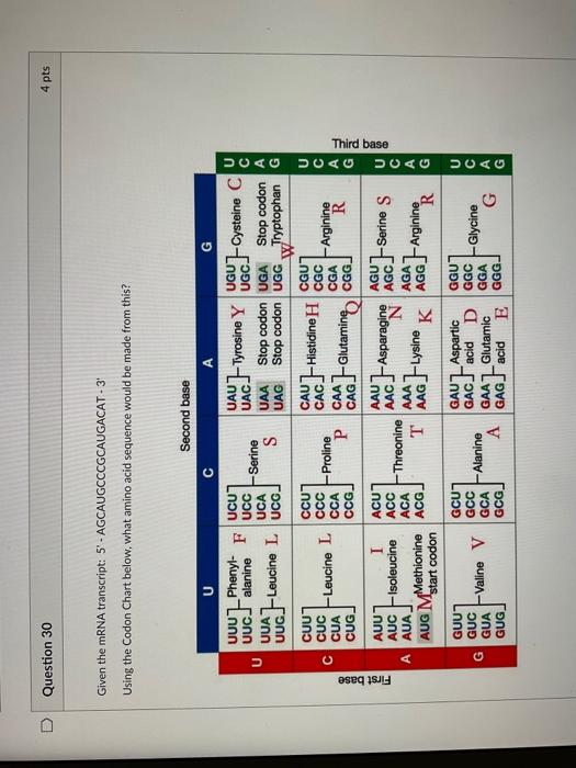 Solved Given the mRNA transcript: 5' - AGCAUGCCCGCAUGACAT - | Chegg.com