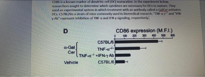 CD86 is a known marker of dendritic cell (DC) | Chegg.com
