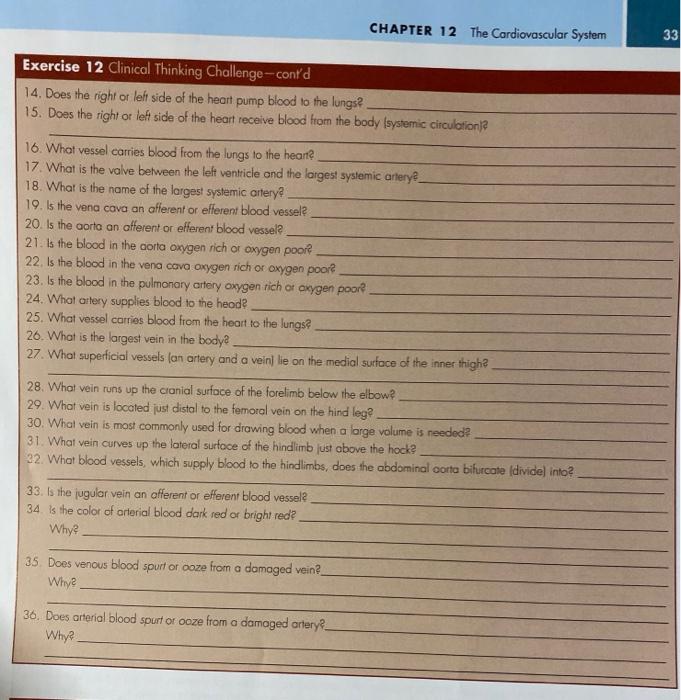 Solved CHAPTER 12 The Cardiovascular System 33 Exercise 12 | Chegg.com