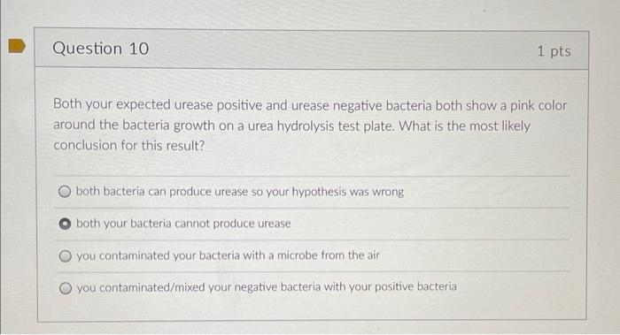Solved both your expected urease positive and negative | Chegg.com