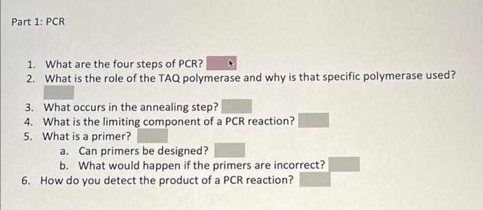 Solved Part 1: PCR 1. What are the four steps of PCR? 2. | Chegg.com