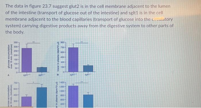 Solved The data in figure 23.7 suggest glut 2 is in the cell | Chegg.com